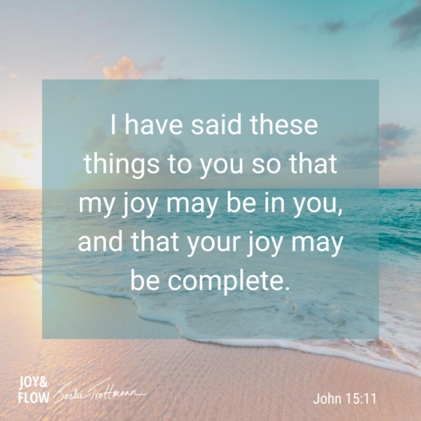 I-have-said-these-things-to-you-so-that-my-joy-may-be-in-you-and-that ...